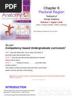 Mnemonics for Skeleton & Muscles | PDF | Human Leg | Foot