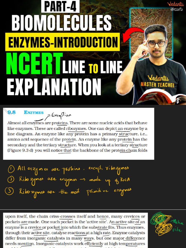 Biomolecules NCERT 4 | PDF