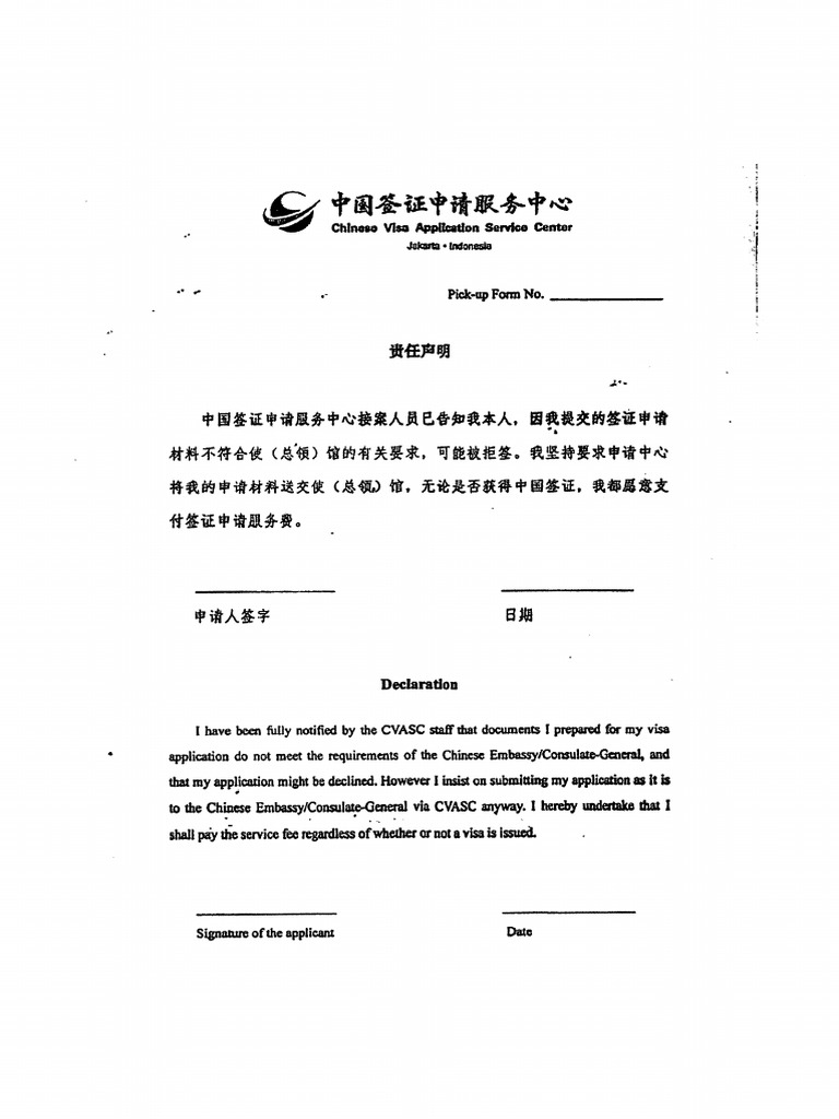 Declaration Form China | PDF