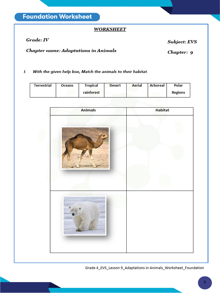 AdaptationsinAnimals Worksheet Foundation | PDF | Habitat | Frog