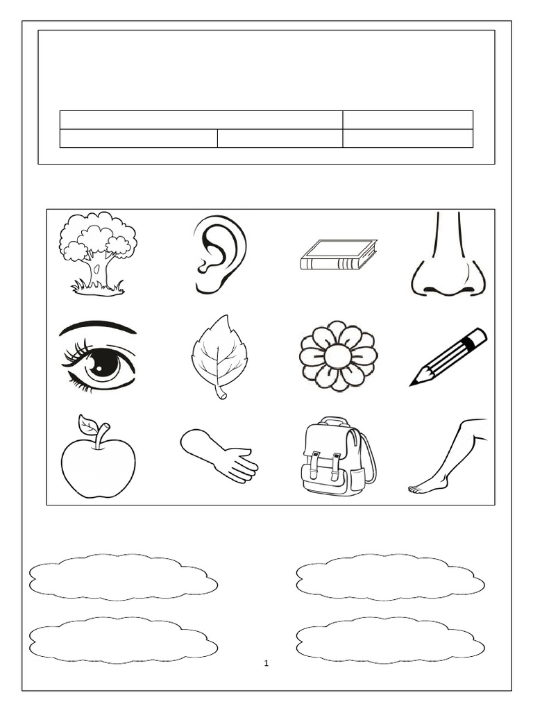 L.K.G Science Exam Paper 2079 | PDF