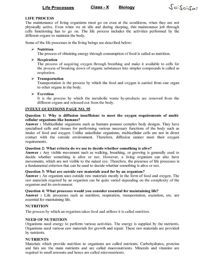 Notes, Biology, 06 Life Processes 10th (X) _110622 | PDF