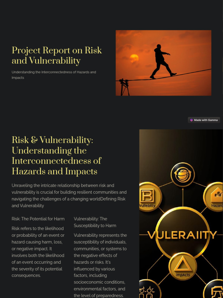 Project Report On Risk and Vulnerability | PDF