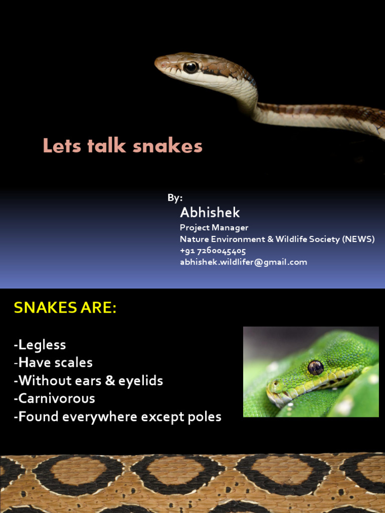 Lets Talk Snakes 29072021 | PDF | Snake | Squamata