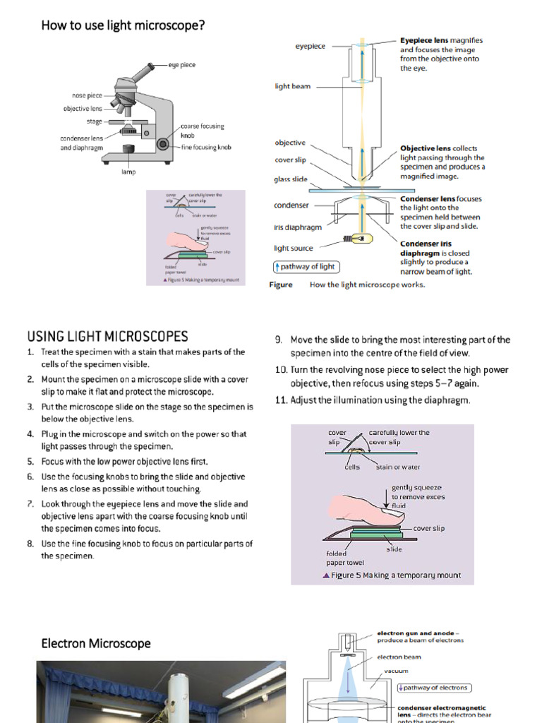How To Use Light Microscope August 2024 | PDF