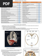 Costal Arch | PDF | Thorax | Thorax (Human Anatomy)