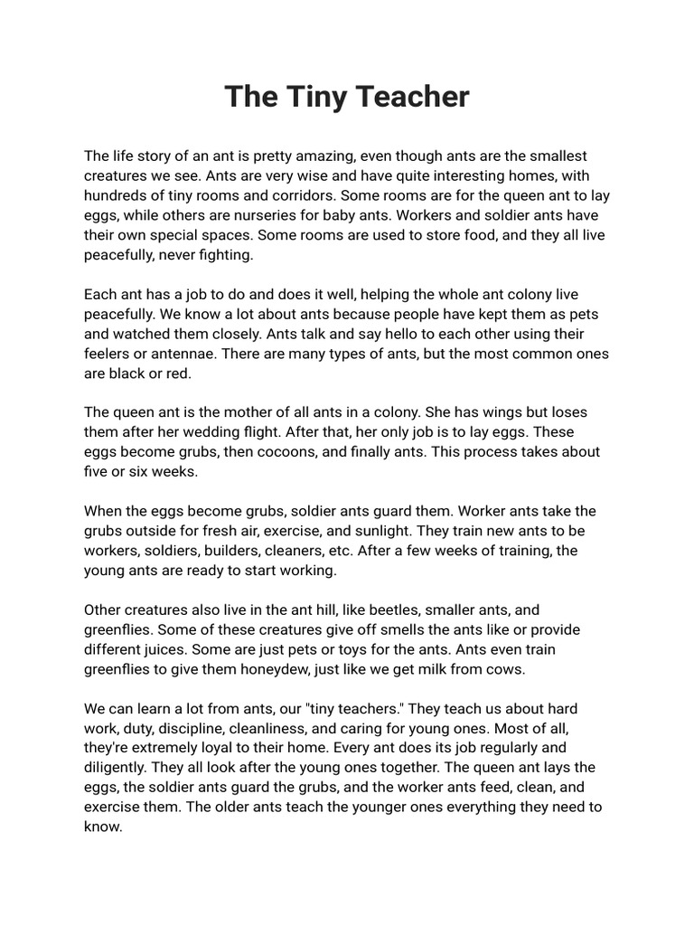 Ants: Nature's Tiny Teachers | PDF