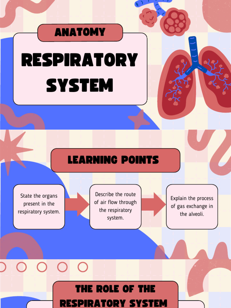 Respiratory System Biology Presentation in A Blue Pink Bold Style | PDF