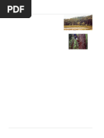 Molave Tree: Benefits and Growing Guide | PDF | Trees | Plants