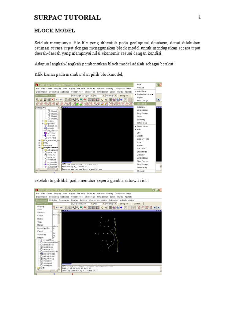 SURPAC BlockModel | PDF | Komputer