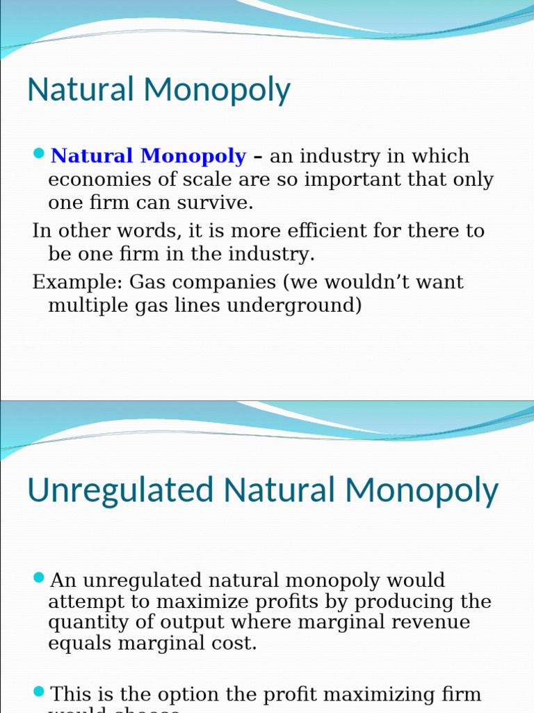 Understanding Natural Monopolies | PDF | Monopoly | Profit (Economics)