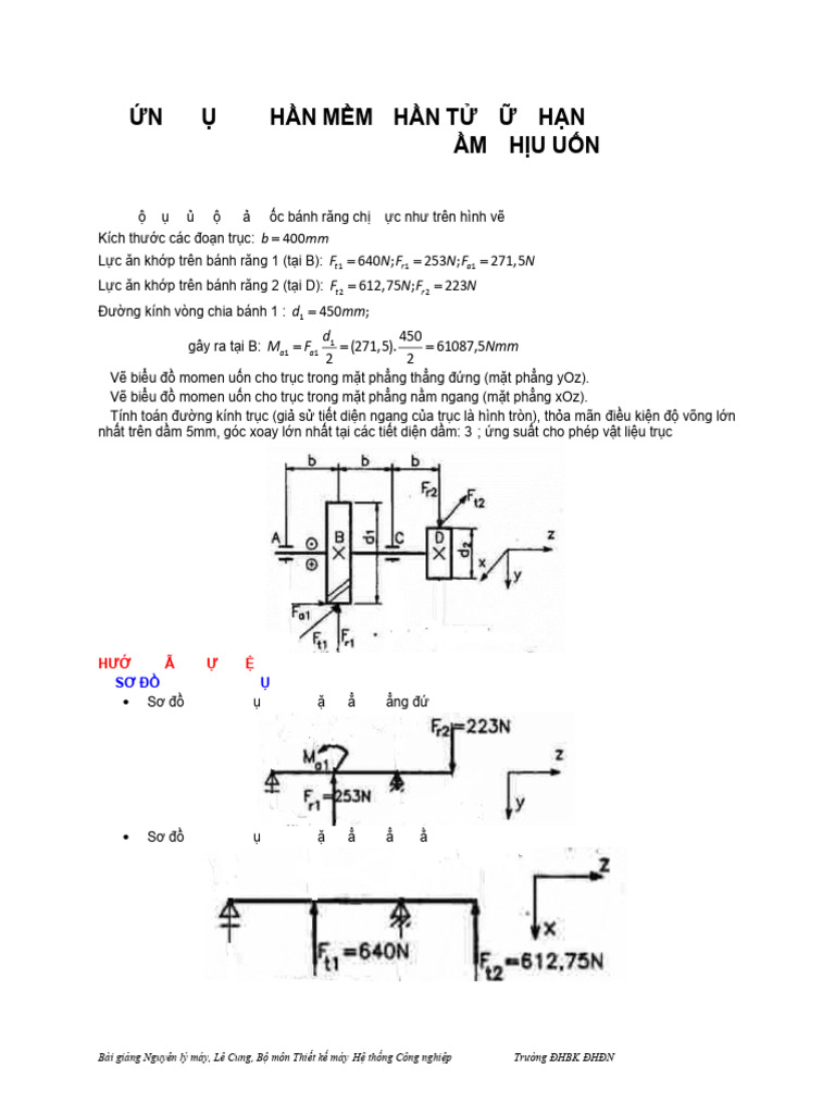 HD Su Dung Phan Mem RDM (Flexion) 9.2023 | PDF