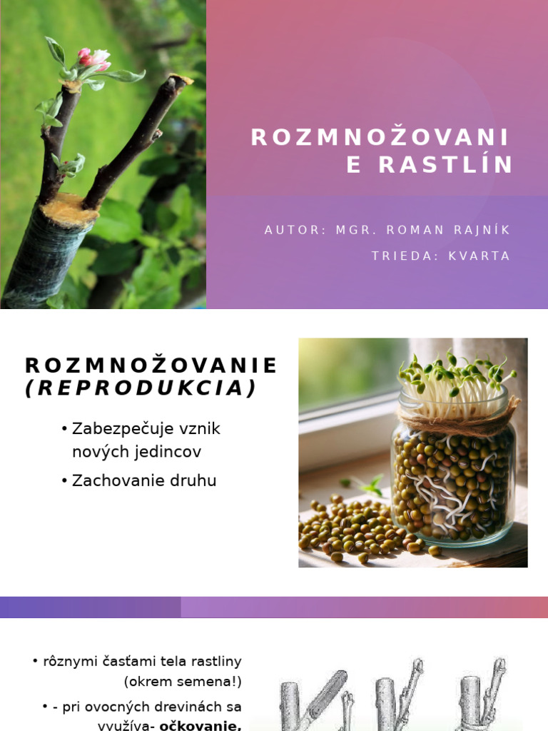 Rozmnožovanie rastlín (kvarta) | PDF