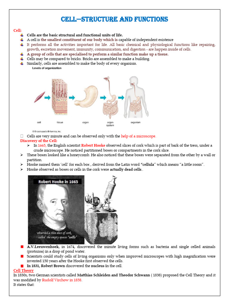 Cell structure and functions-Lecture notes | PDF | Cell (Biology ... Cell structure and functions-Lecture notes | PDF | Cell (Biology ...