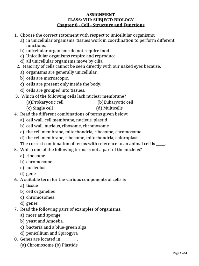 Cell Stsructure and Function Assignment | PDF | Cell (Biology) | Cell ...