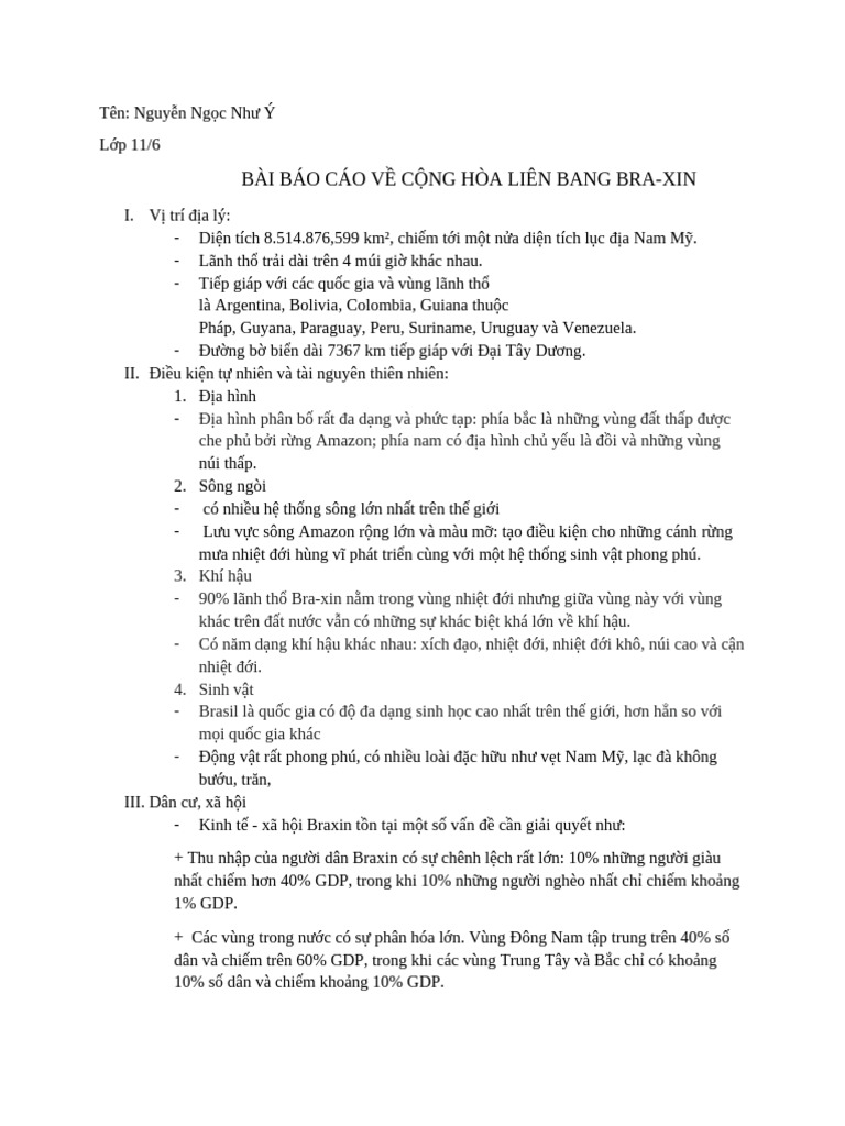 Báo Cáo Braxin | PDF