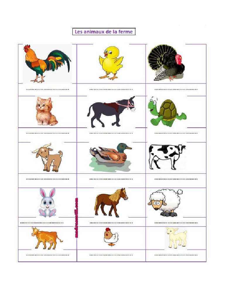 Les Animaux de La Ferme | PDF