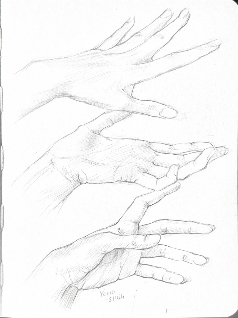 Hand Study Drawing | PDF