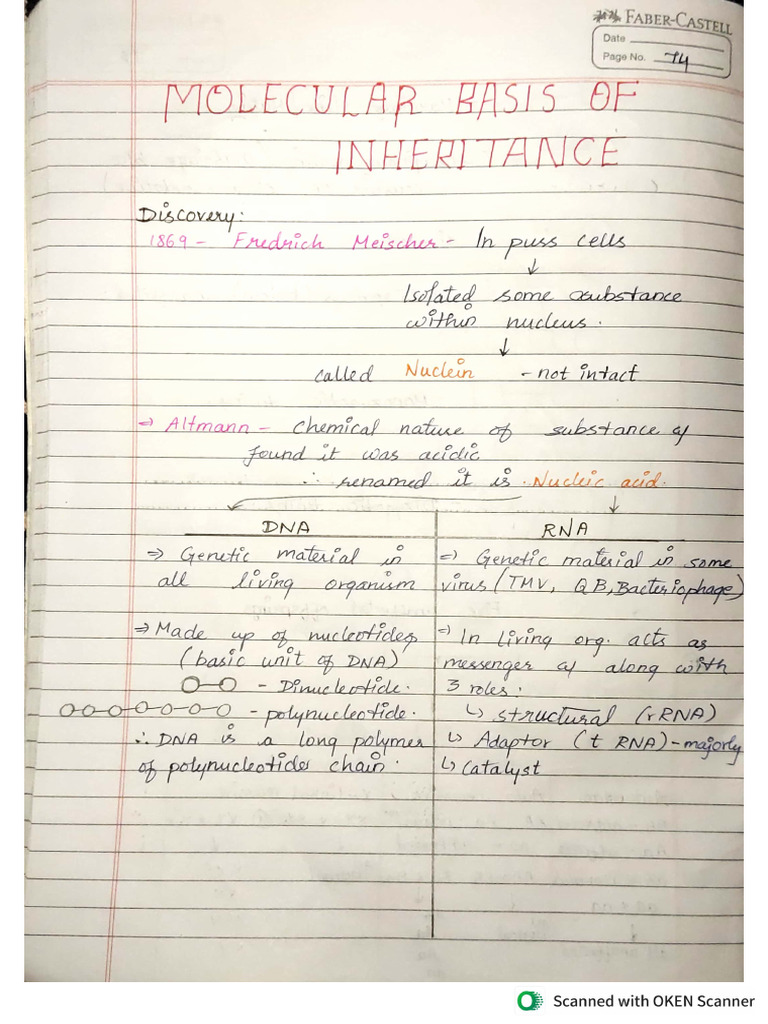 MOLECULAR BASIS OF INHERITANCE. | PDF