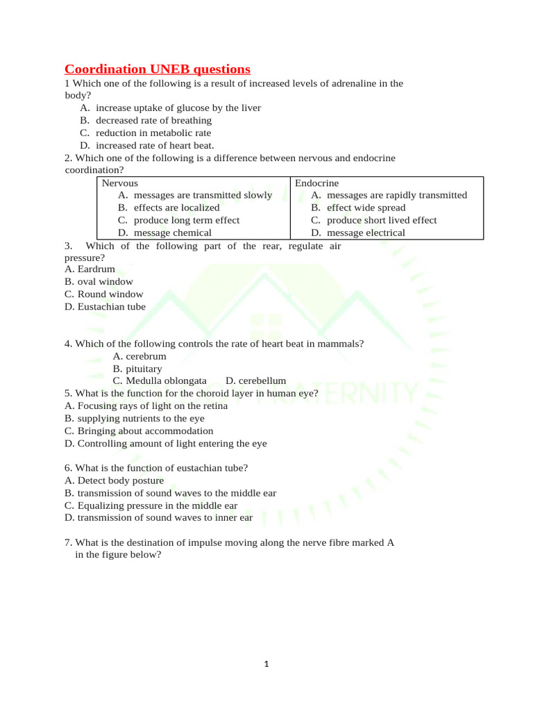 Coordination Uneb Questions 1 | PDF | Eye | Endocrine System
