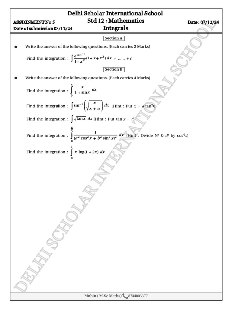 Std 12 Mathematics Integrals Assignment | PDF