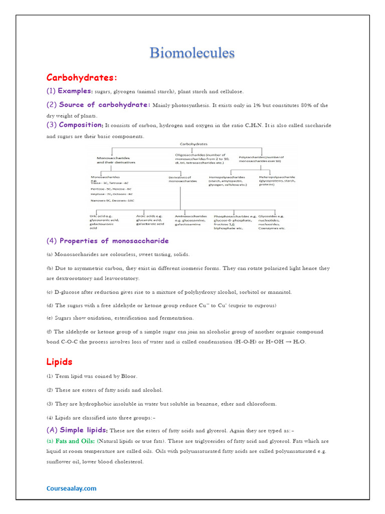 Biomolecules | PDF | Nucleotides | Nucleic Acids