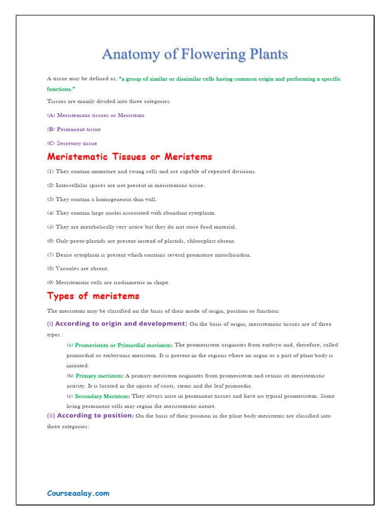Anatomy of Flowering Plants | PDF | Plant Stem | Tissue (Biology)