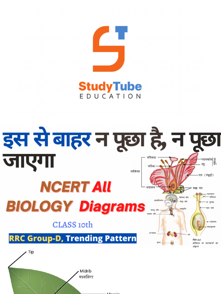 diagram class 10 | PDF
