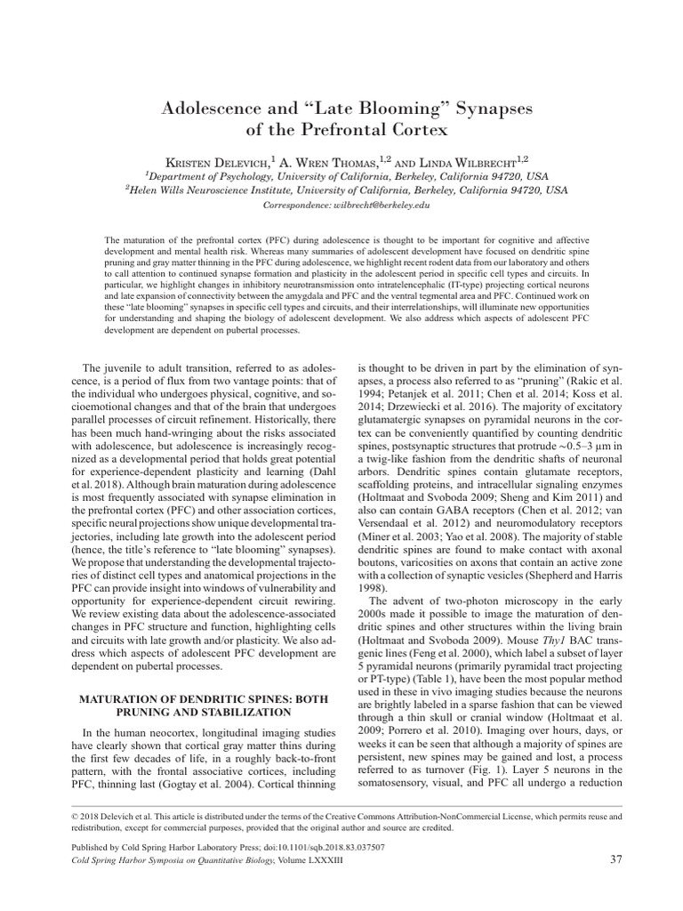 Adolescence and Late Blooming Synapses of the Prefrontal Cortex | PDF ...