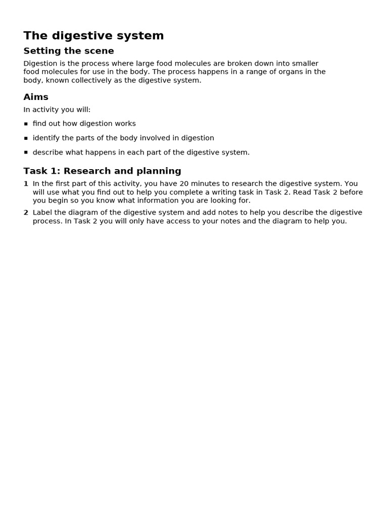 Lesson 4 Digestion Higher | PDF