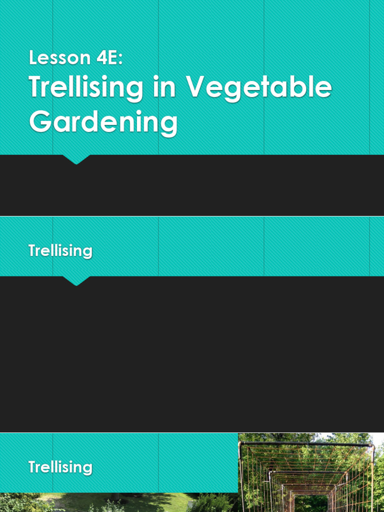Lesson 4E Trellising | PDF