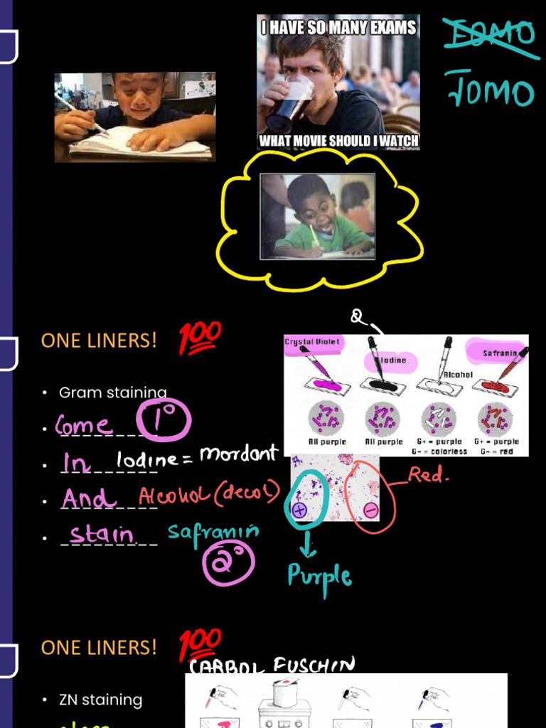 Micro-100-One Liners | PDF | Staining | Sterilization (Microbiology)
