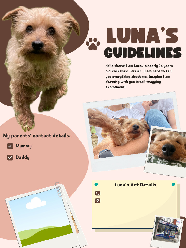 dog routine | PDF