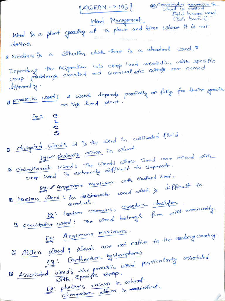 weed mid-term | PDF | Plants | Botany