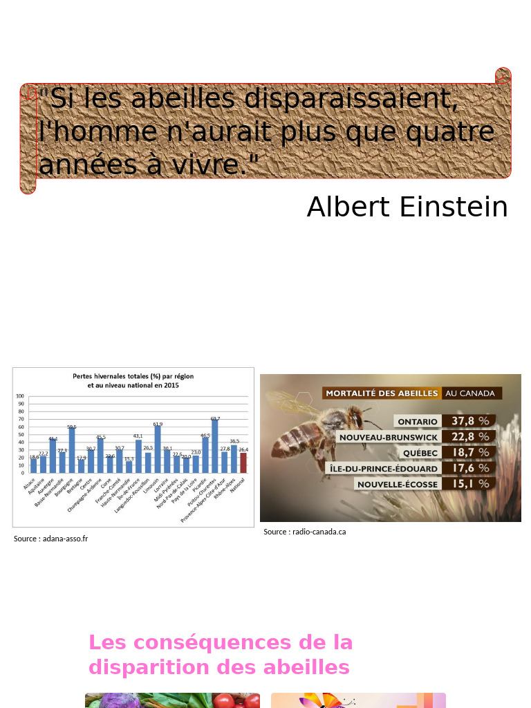 Impact de la disparition des abeilles | PDF