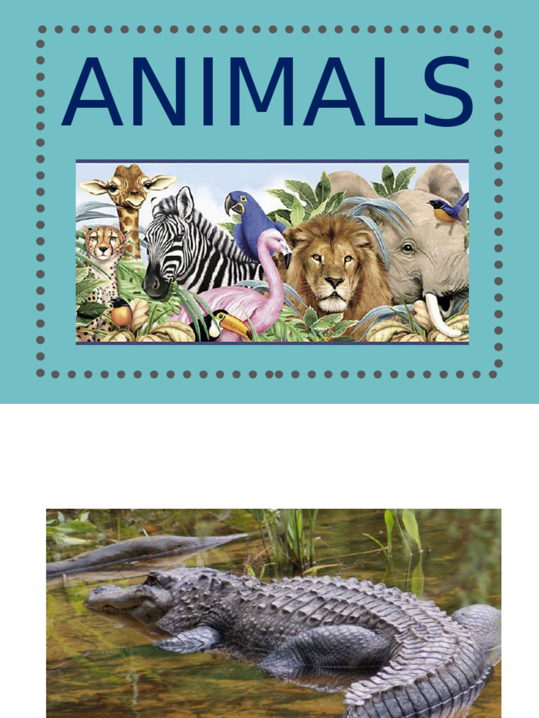 Animals | PDF