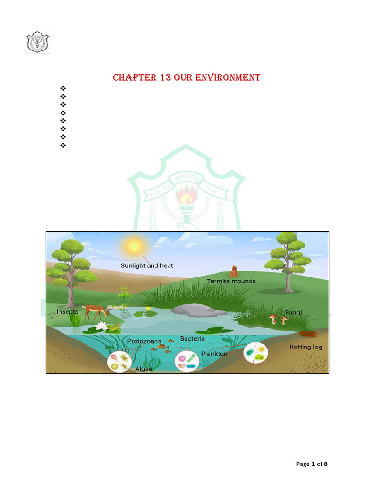 10 Chp 13 Our Environment 2024-25 | PDF | Food Web | Ecosystem