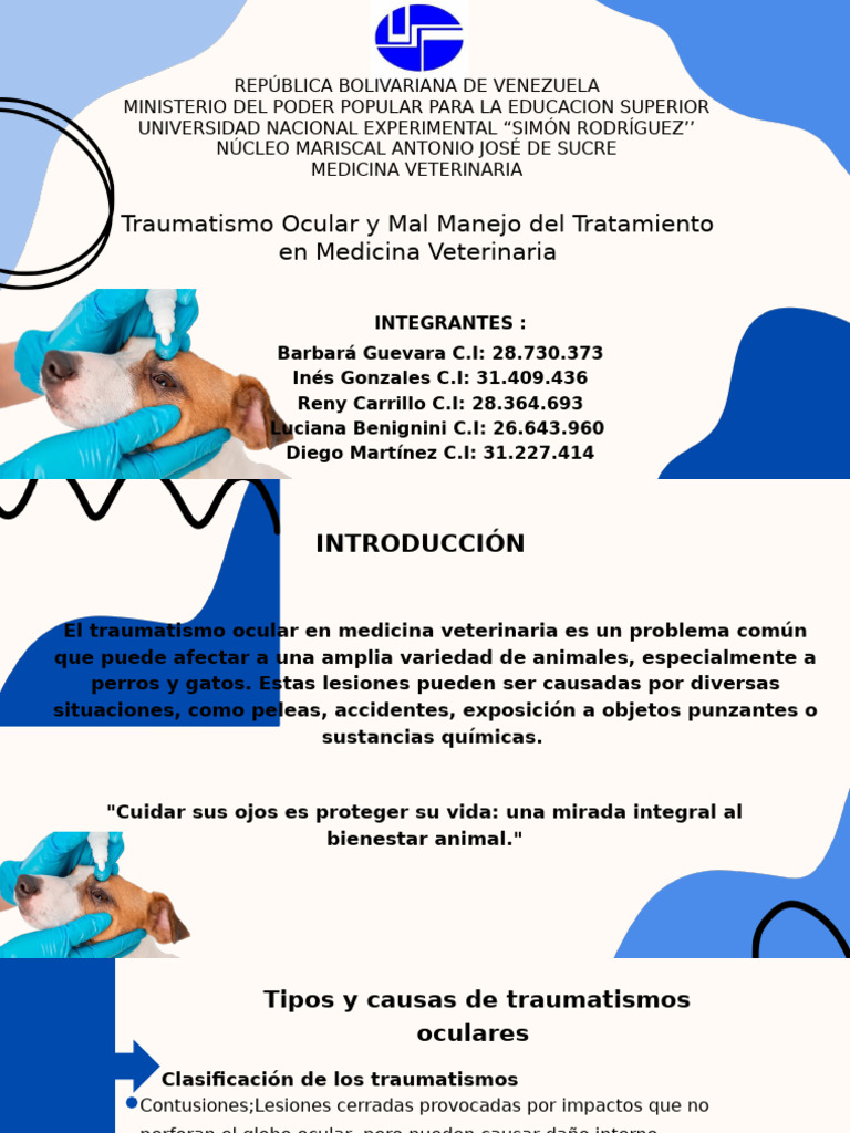 Traumatismo Ocular en Veterinaria: Manejo y Errores | PDF ...