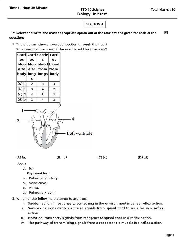 Biology Unit Test._solution | PDF | Plant Hormone | Genotype