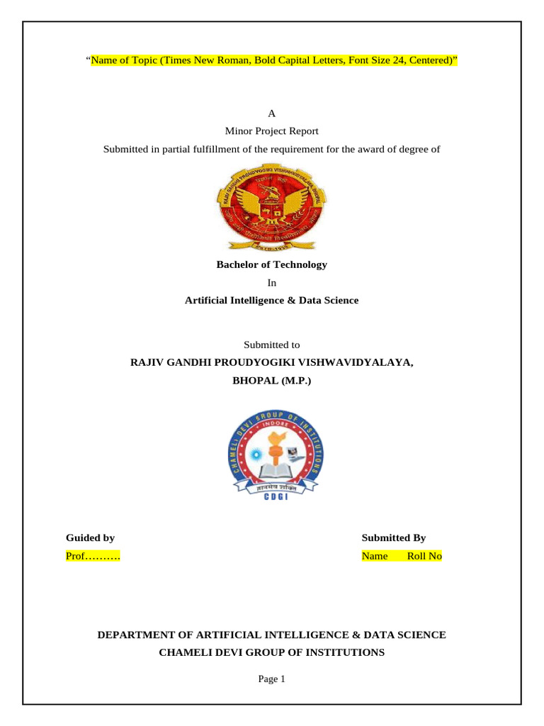 Minor Project File Format - 1679912439 | PDF | Databases | Usability