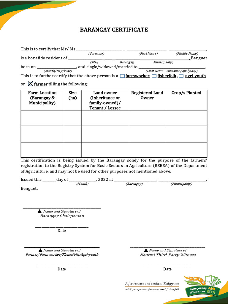 Rsbsa Brgy Certification | PDF | Agricultural Science | Agriculture