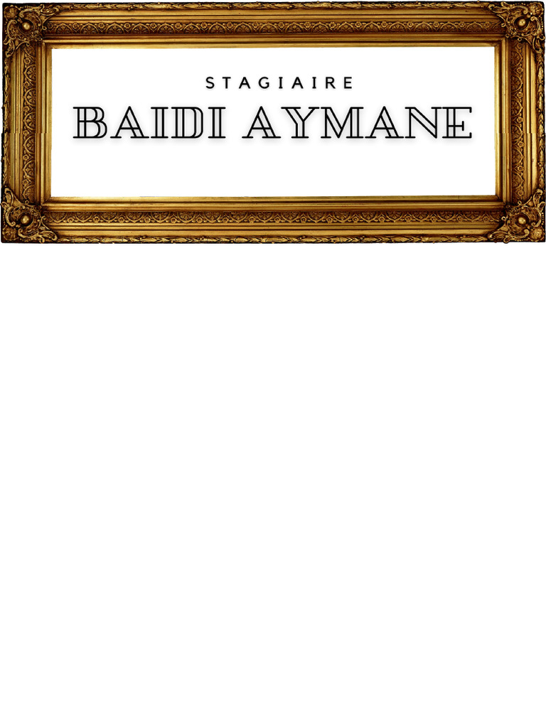 Baidi Aymane | PDF