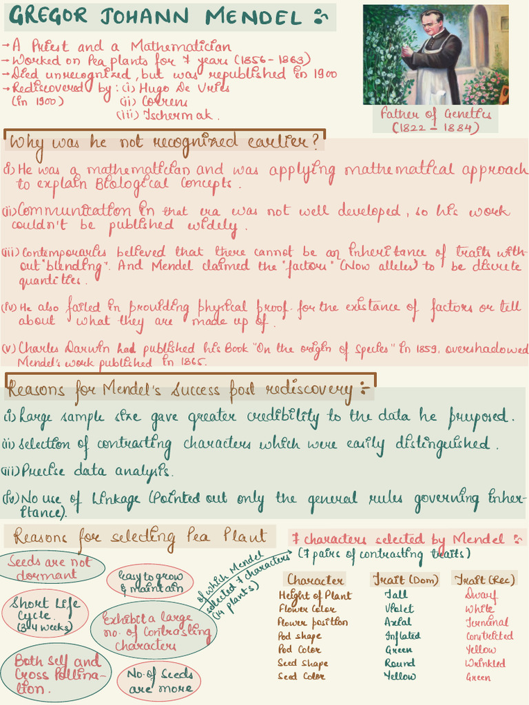 Principles of Inheritance & Variations | PDF | Genetics