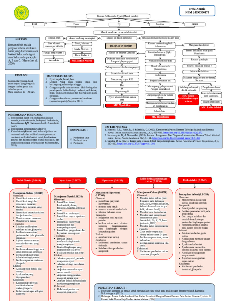 WOC Demam Typhoid | PDF