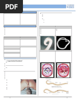 Parasite Ova and Cyst Identification Chart | PDF | Egg