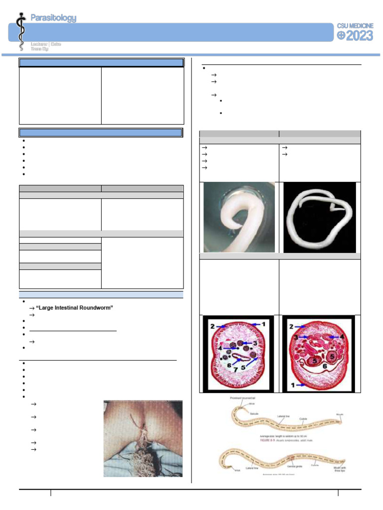 2023.para - Trans07.intestinal Nematodes | PDF | Clinical Medicine ...