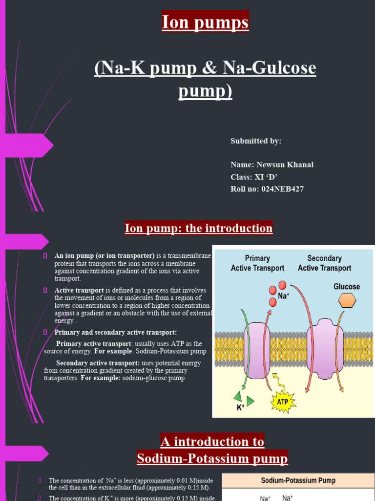 Ion-Potassium and Ion-Glucose Pump Presentation_Newsun Khanal | PDF | Adenosine Triphosphate ...