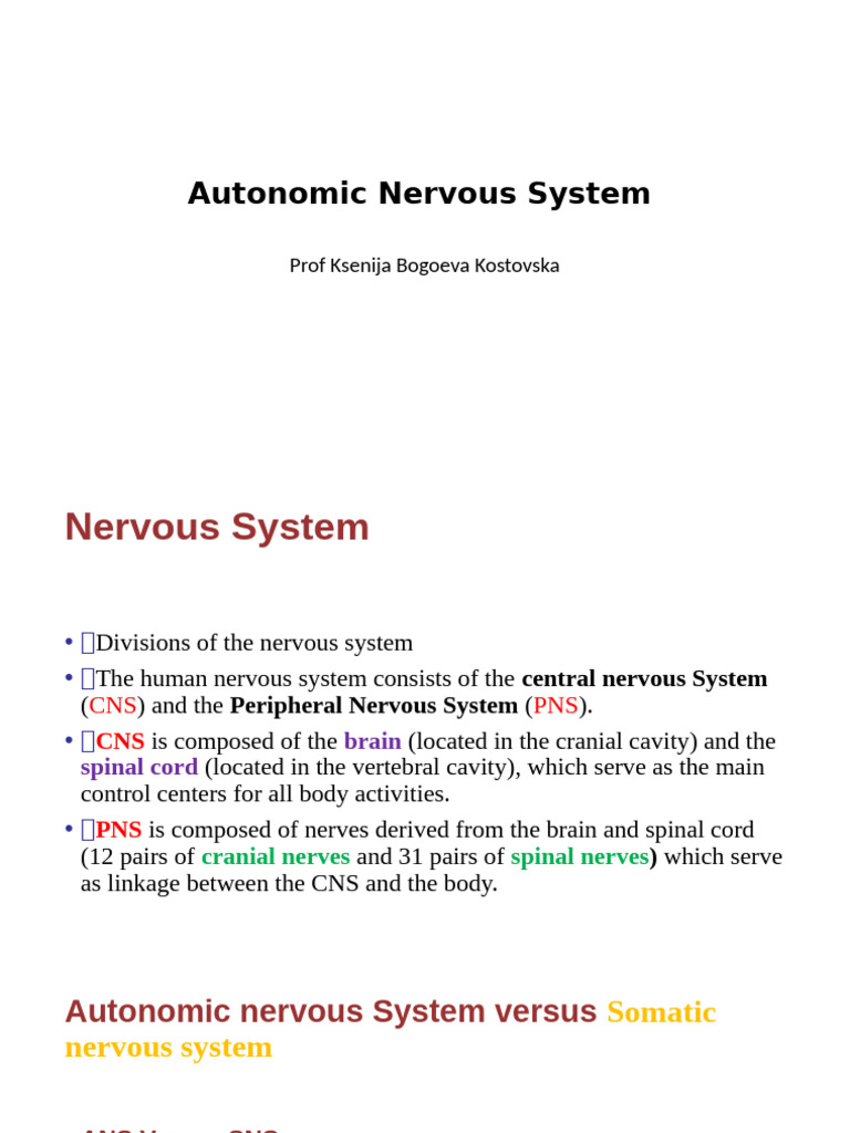 Autonomic nervous system | PDF | Autonomic Nervous System | Nervous System
