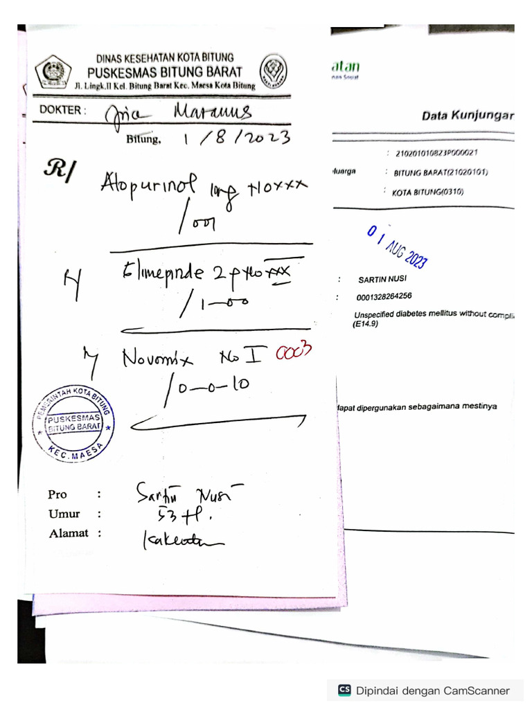 0003 Sartin Nusi | PDF