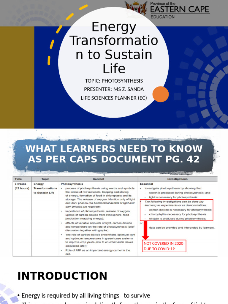 8 Life Sciences Grade 12 PHOTOSYNTHESIS | PDF | Photosynthesis ...